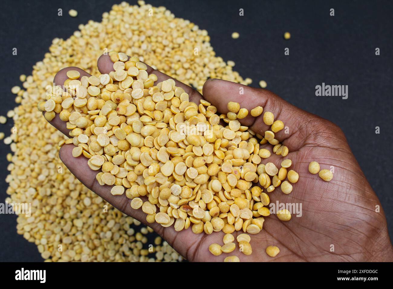 Toor dal or arhar dal in hand close-up view Stock Photo - Alamy