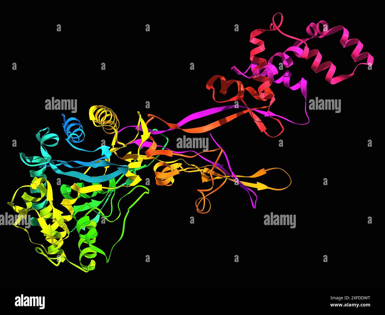 Penicillin-binding protein 3 (PBP3) from Staphylococcus epidermidis ...