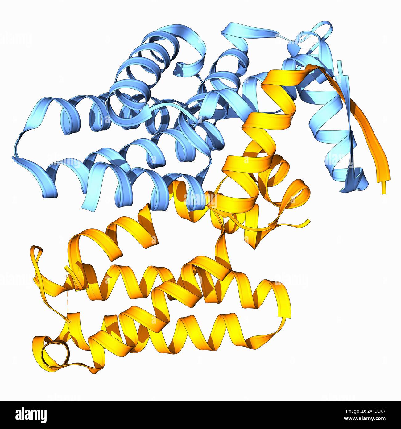 Anti-CRISPR protein AcrIF25 from Alcanivorax sp. KX64203. Molecular ...