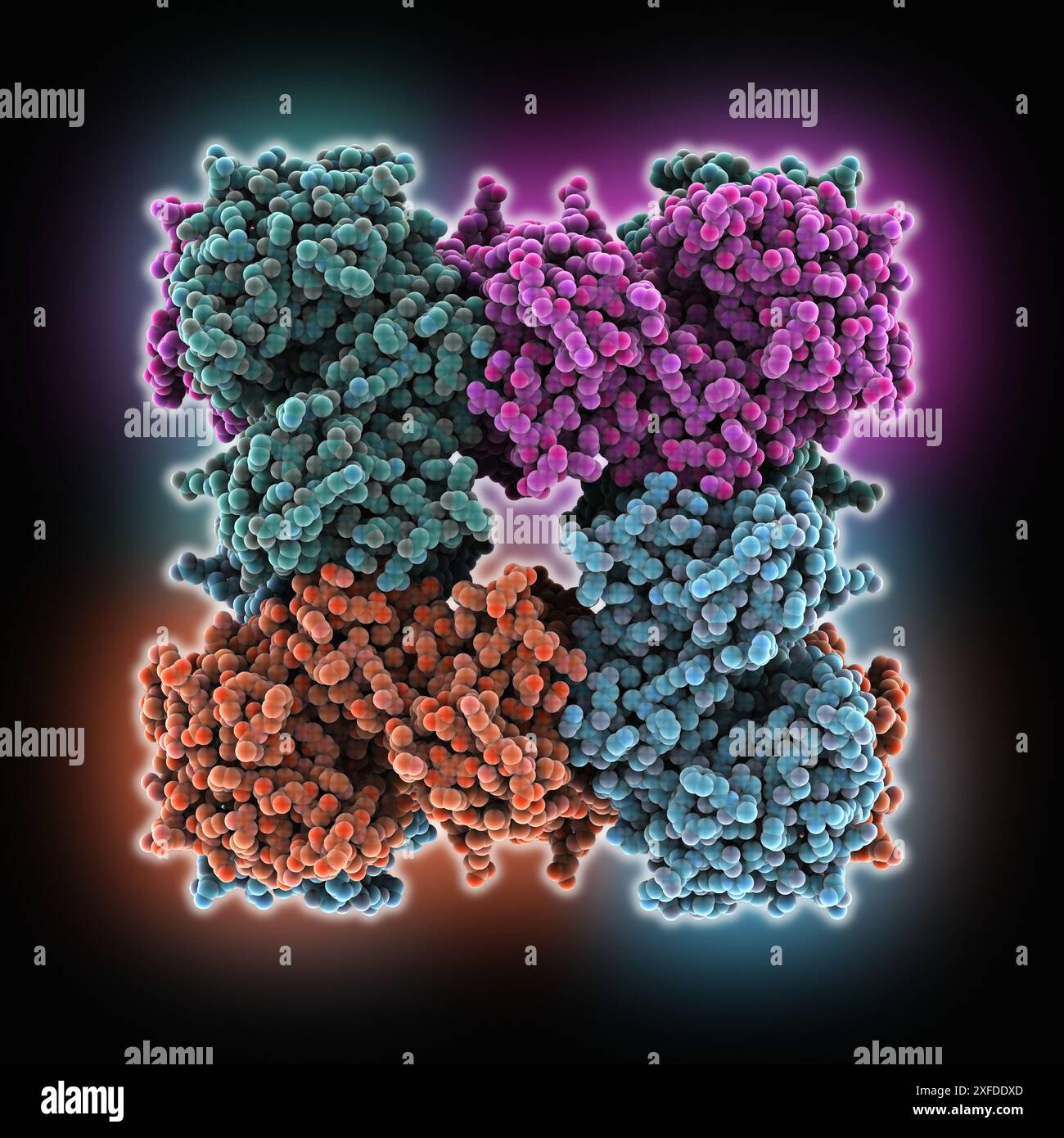 Ethylene glycol-bound glycerol dehydrogenase from Klebsiella pneumoniae ...