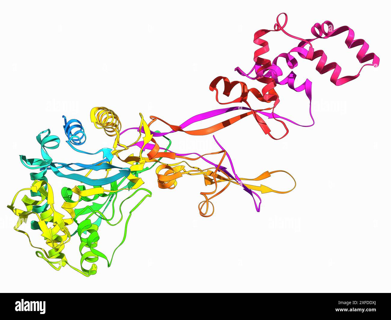 Penicillin-binding protein 3 (PBP3) from Staphylococcus epidermidis ...