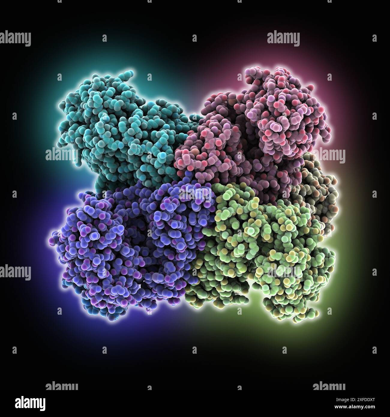 Unliganded glutamate dehydrogenase from Thermococcus profundus ...