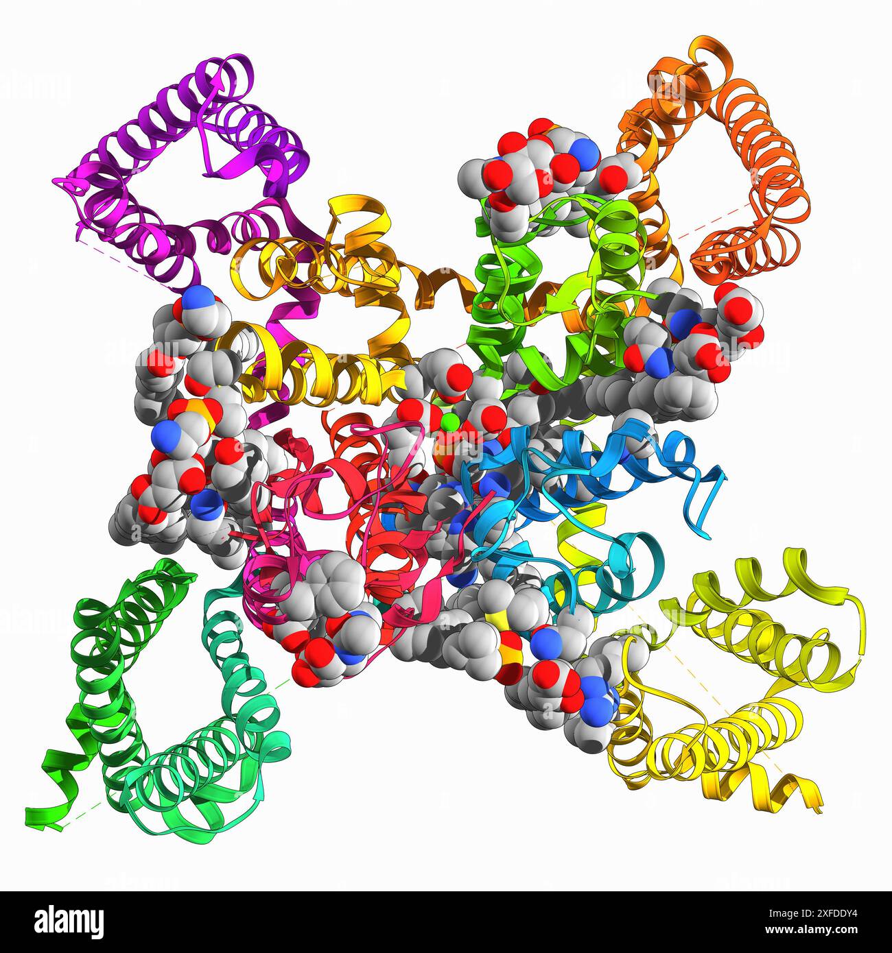 Voltage-dependent T-type calcium channel. Molecular model of a voltage ...