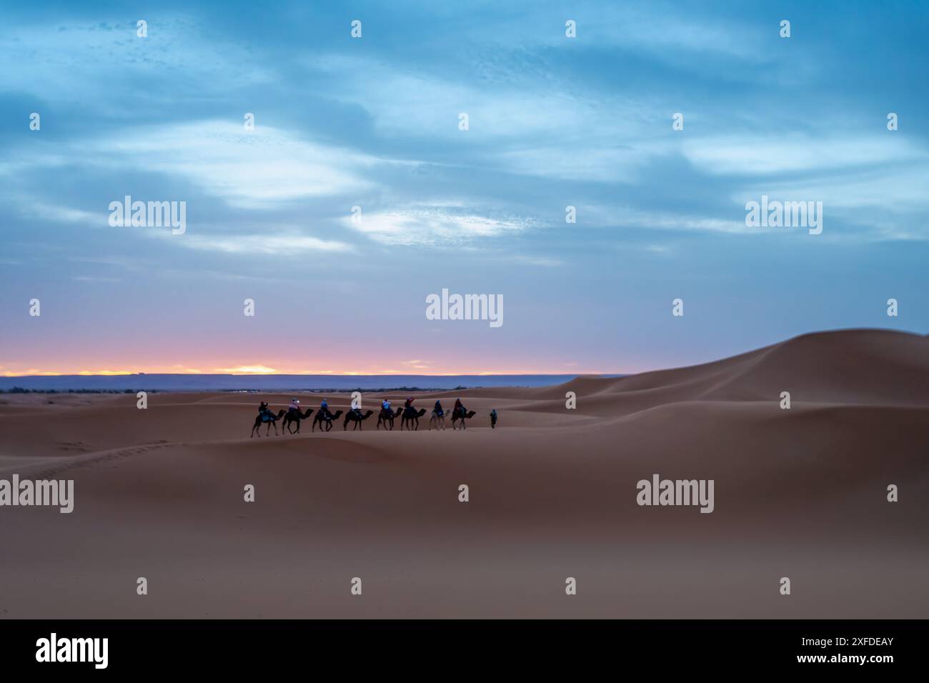 A group of travelers on camels witness the sunrise in Morocco's ...