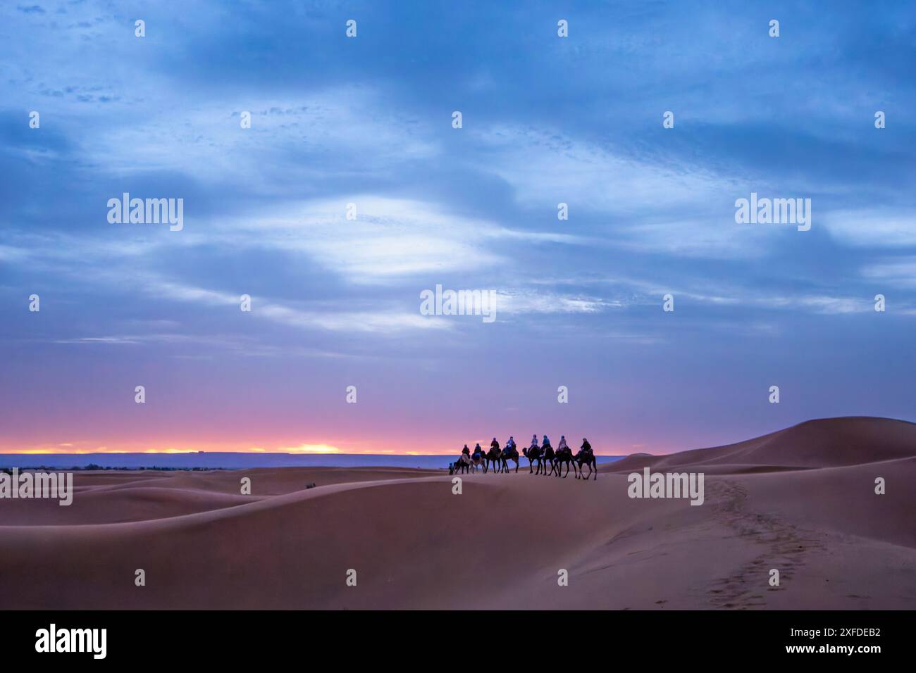 A group of travelers on camels witness the sunrise in Morocco's ...
