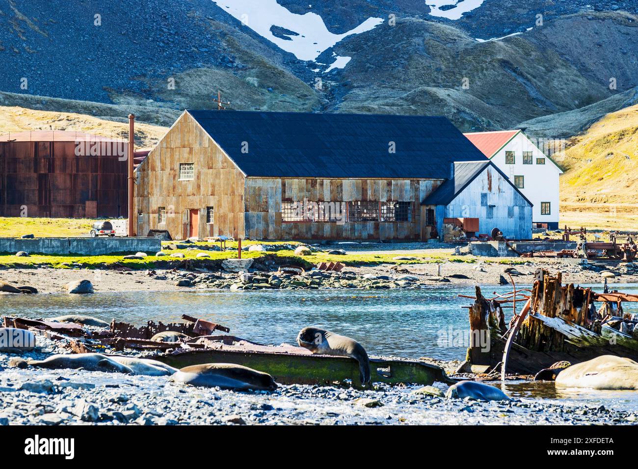 Whaling Station,Grytviken, King Edward Cove, South Georgia, Tuesday ...