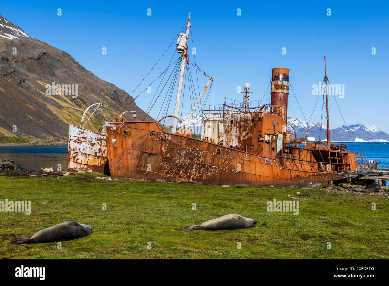 Old Whaling Ship, Albatros & Dias, Grytviken, King Edward Cove, South ...