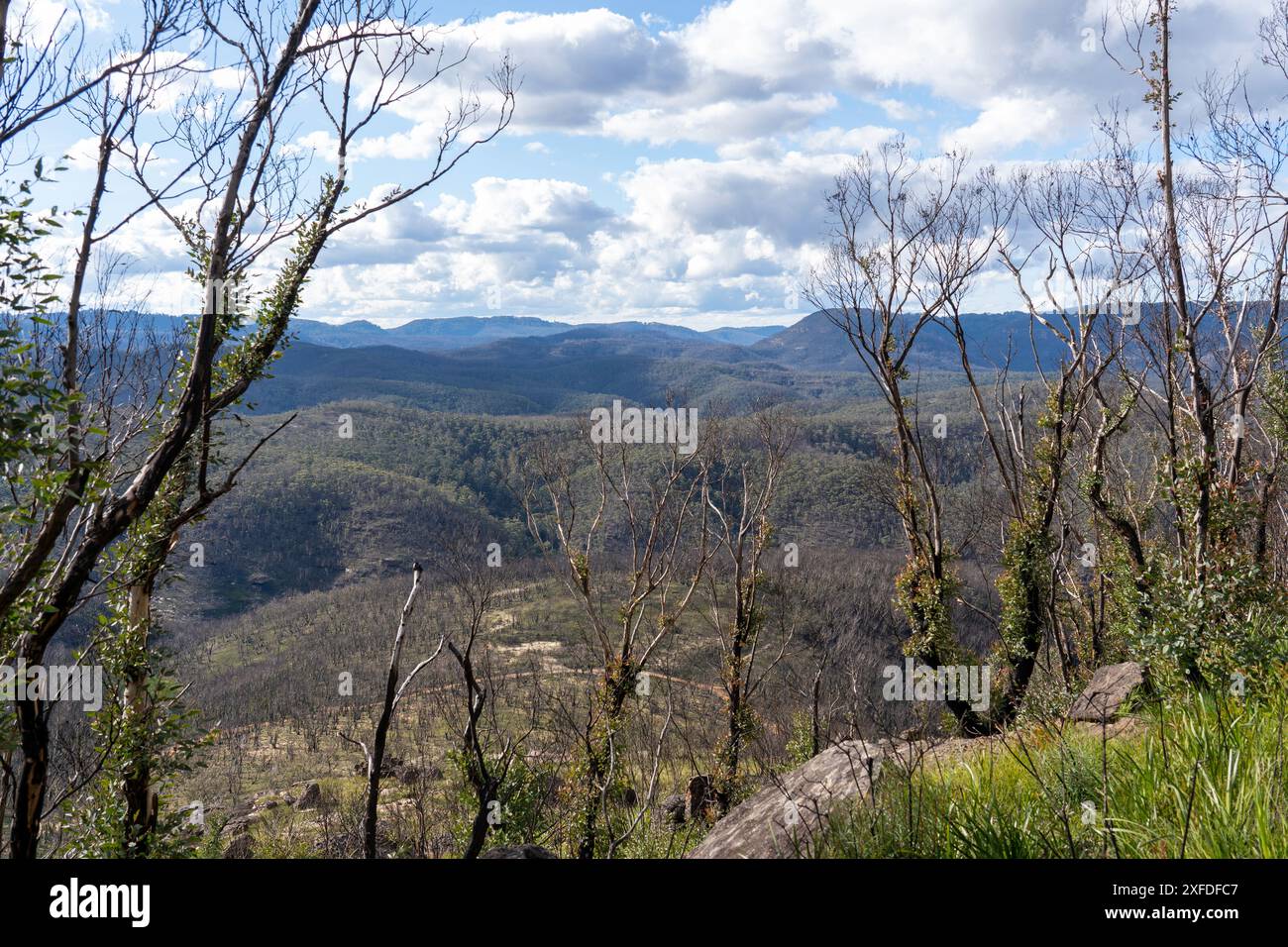 Bush camp australia hi-res stock photography and images - Alamy