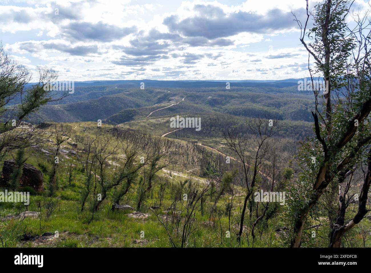Bush camp australia hi-res stock photography and images - Alamy