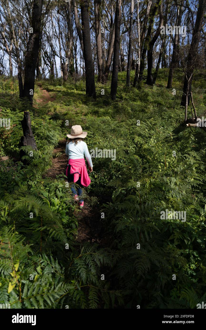Child in the bush exploring Stock Photo - Alamy