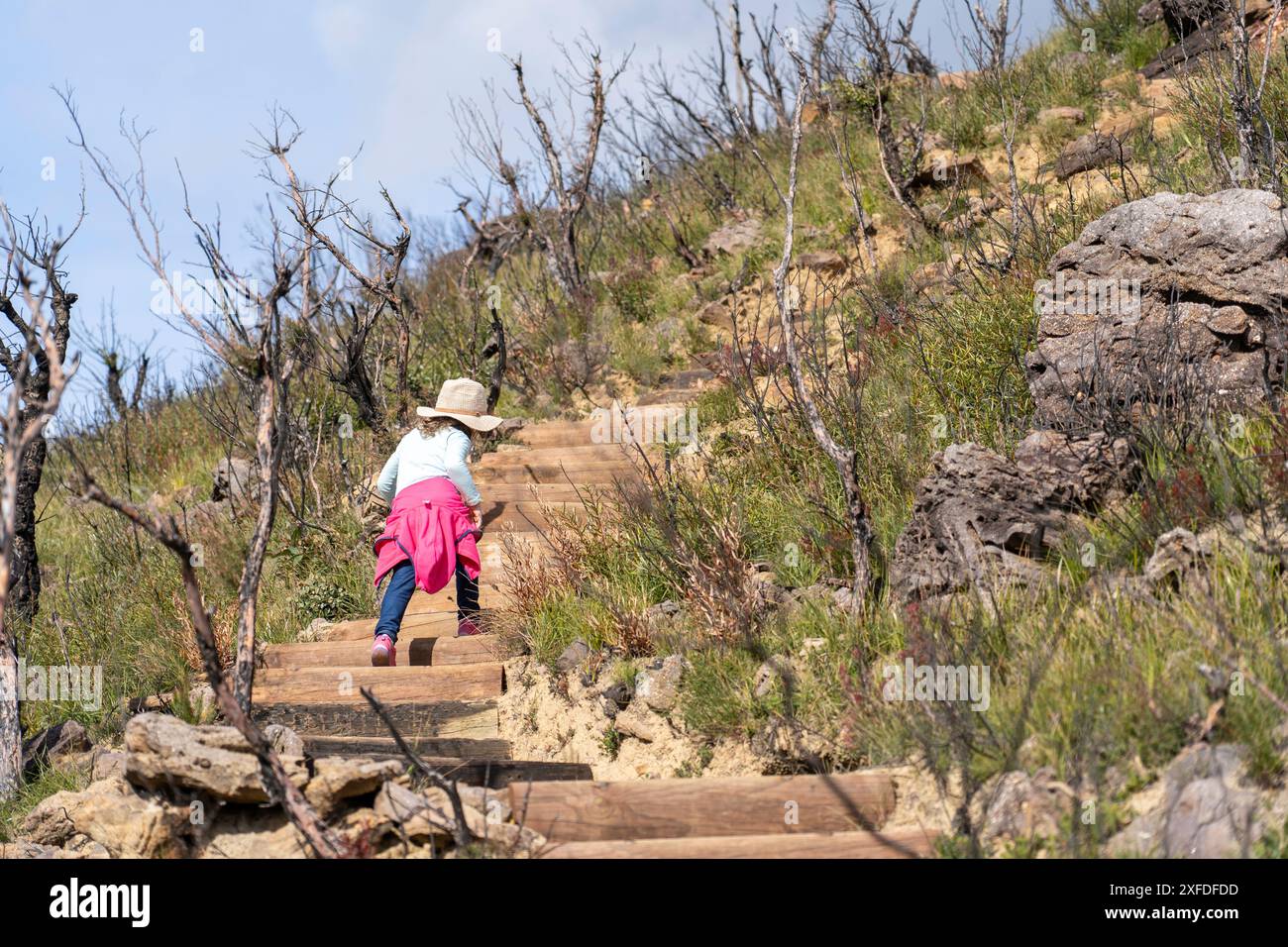 Child in the bush exploring Stock Photo - Alamy