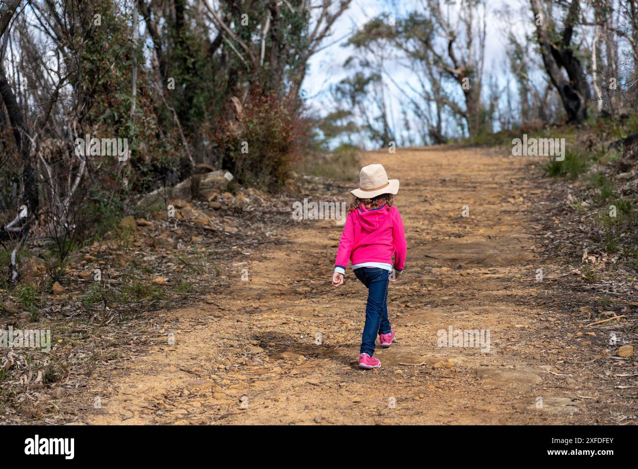 Child in the bush exploring Stock Photo - Alamy