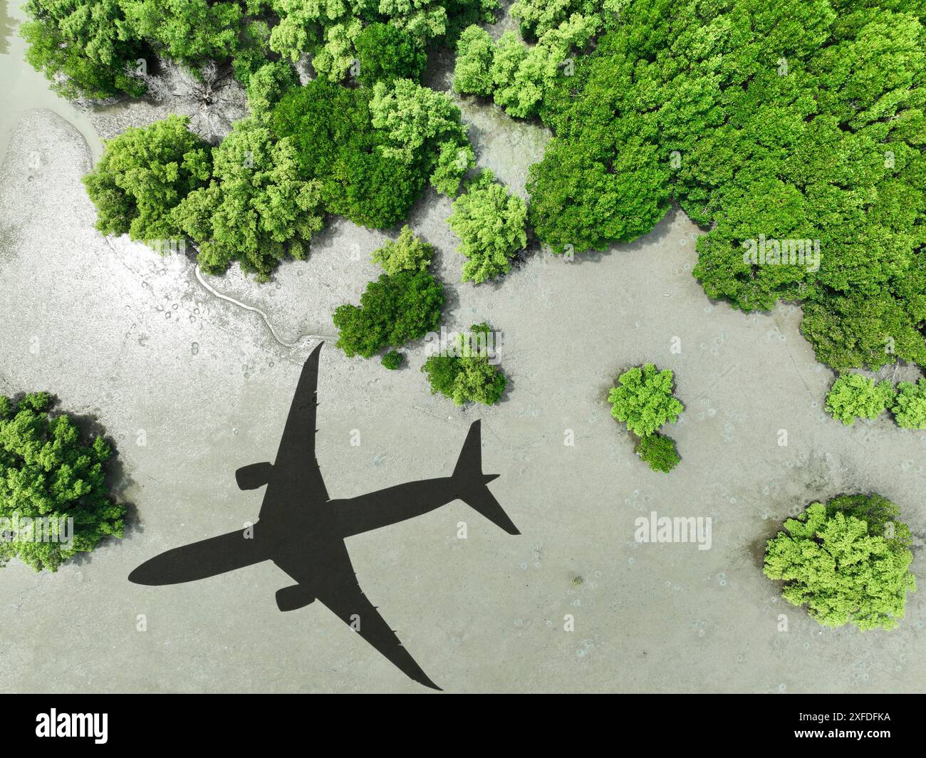 Shadow airplane flying above mangrove forest. Sustainable fuel. Biofuel ...