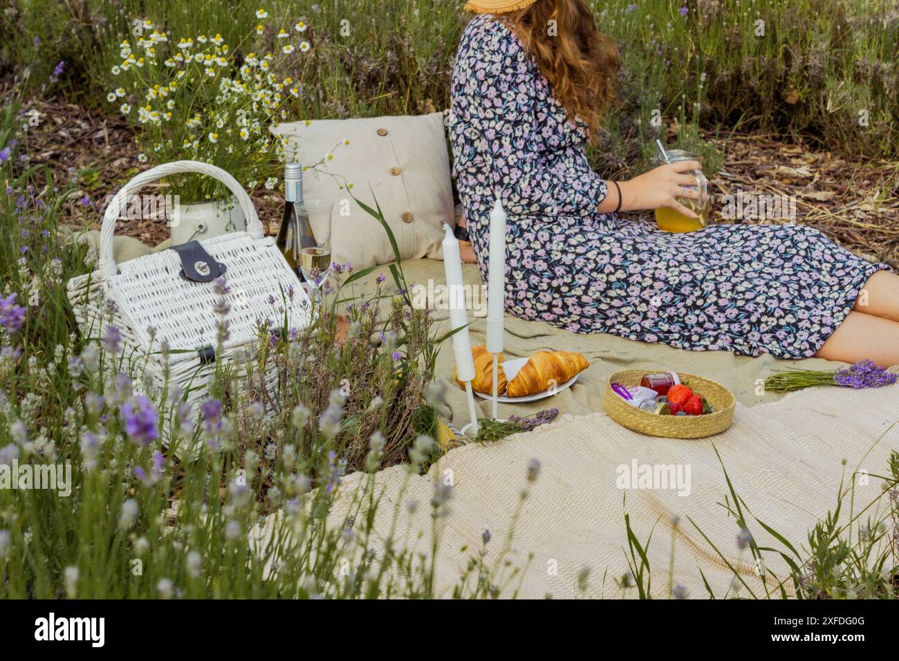 Summer picnic with wine and cheese in the lavender field, outdoors ...