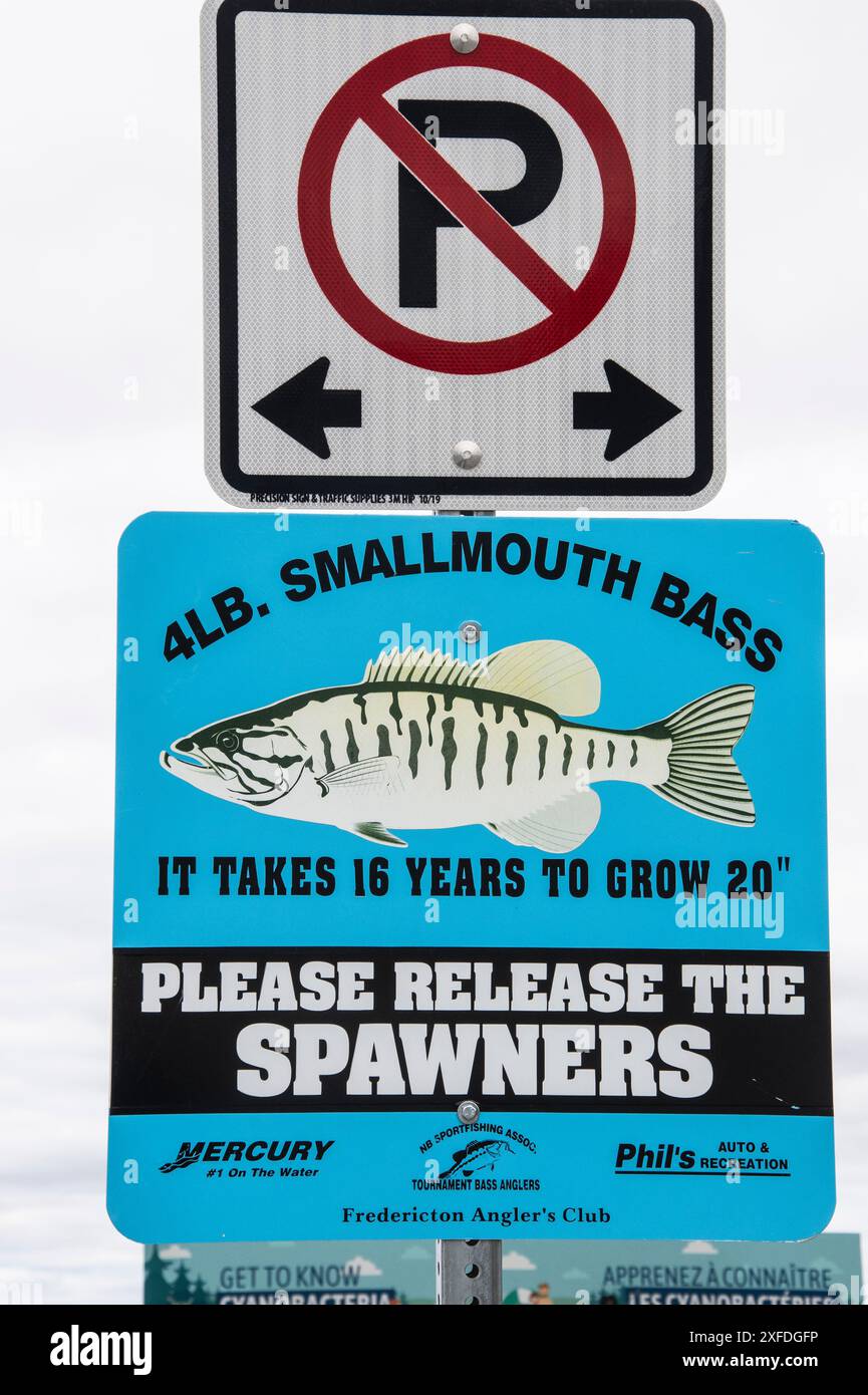 No parking and small mouth bass signs at Carleton Park north riverfront ...