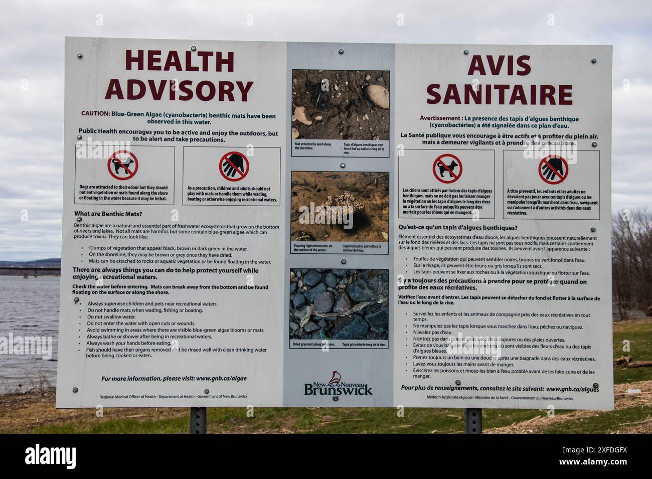Health advisory sign warning of blue-green algae at the north ...