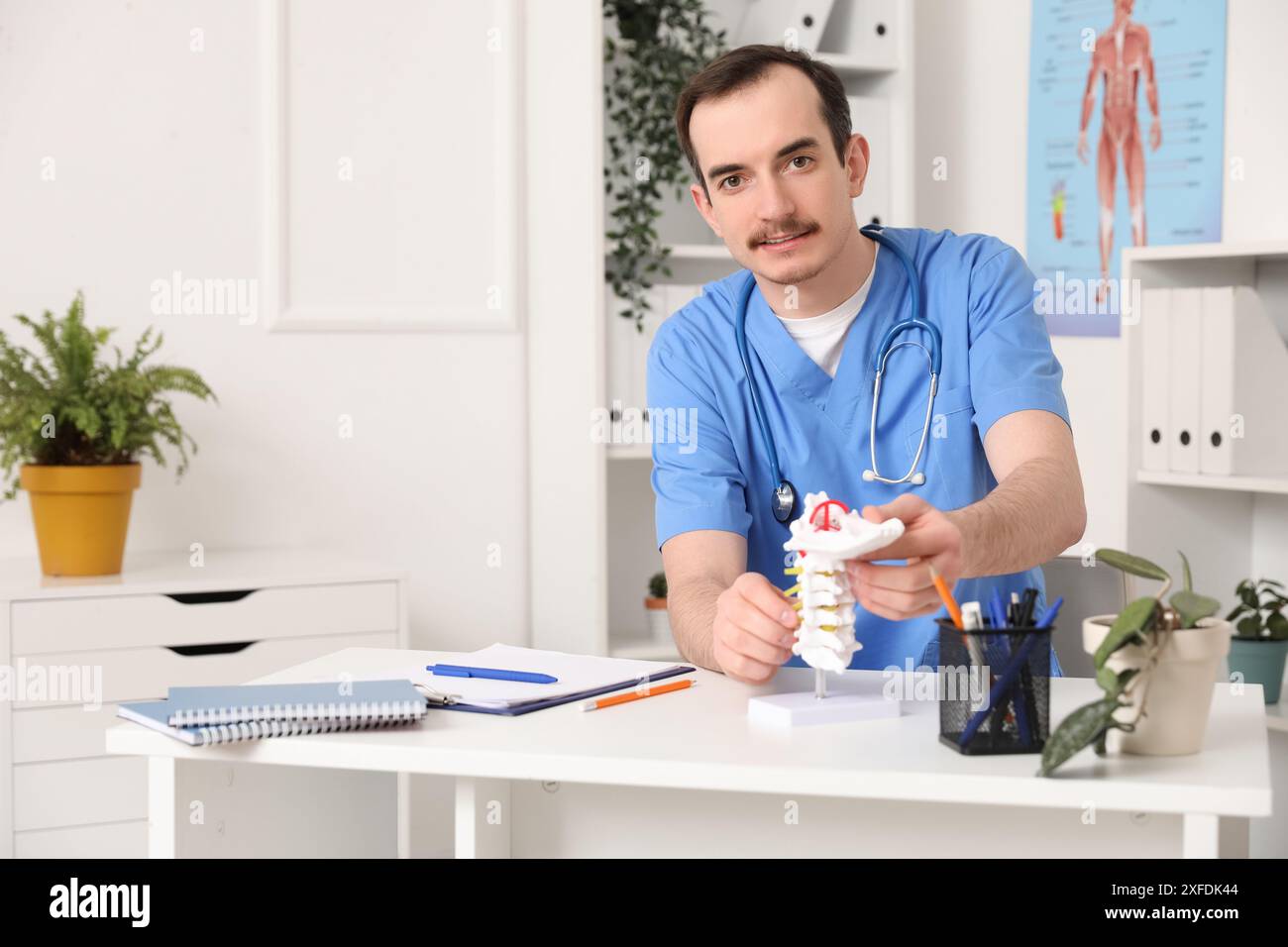 Anatomy model sitting hi-res stock photography and images - Alamy