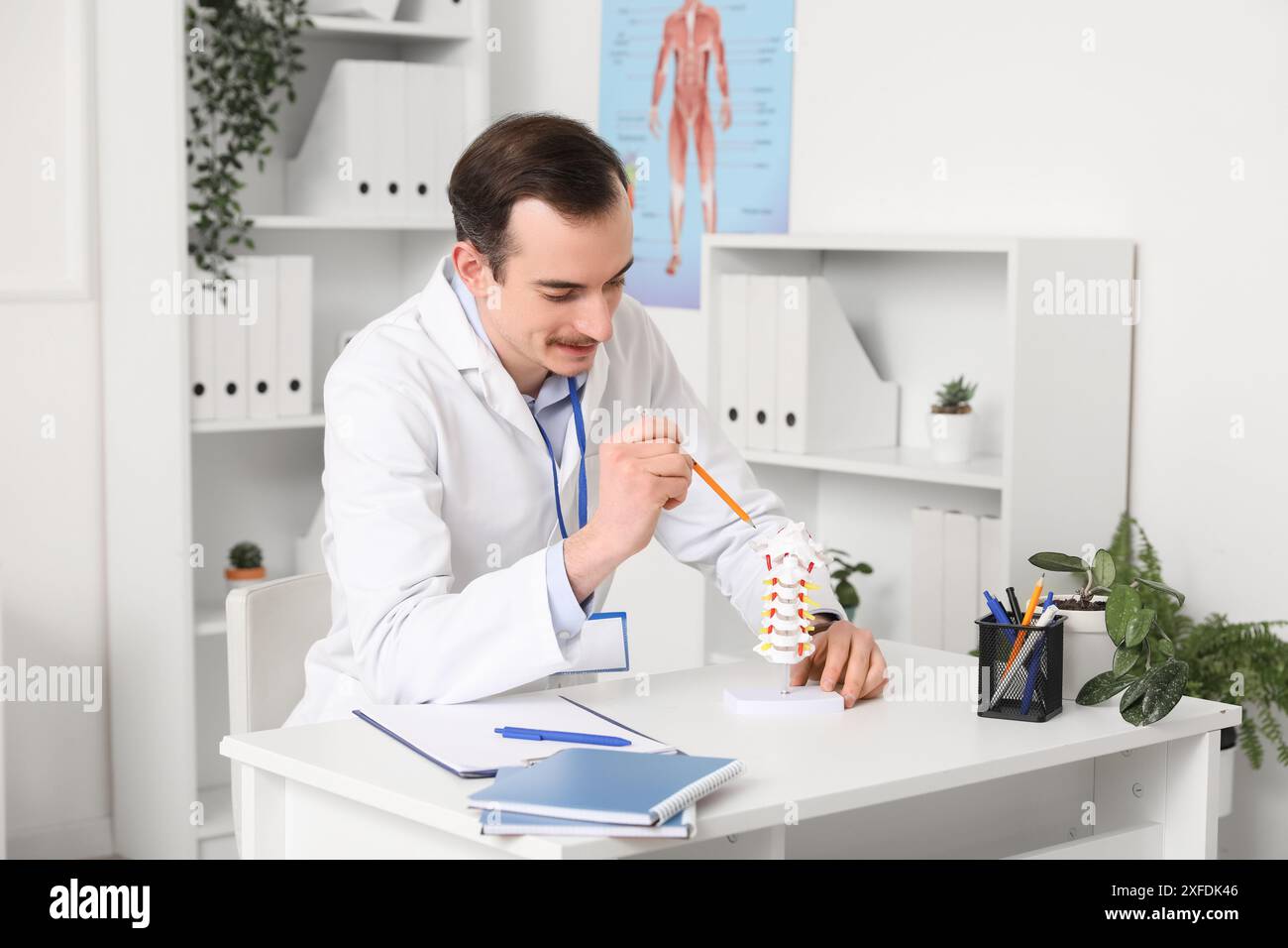 Male doctor demonstrating spinal anatomy with vertebral column model in ...