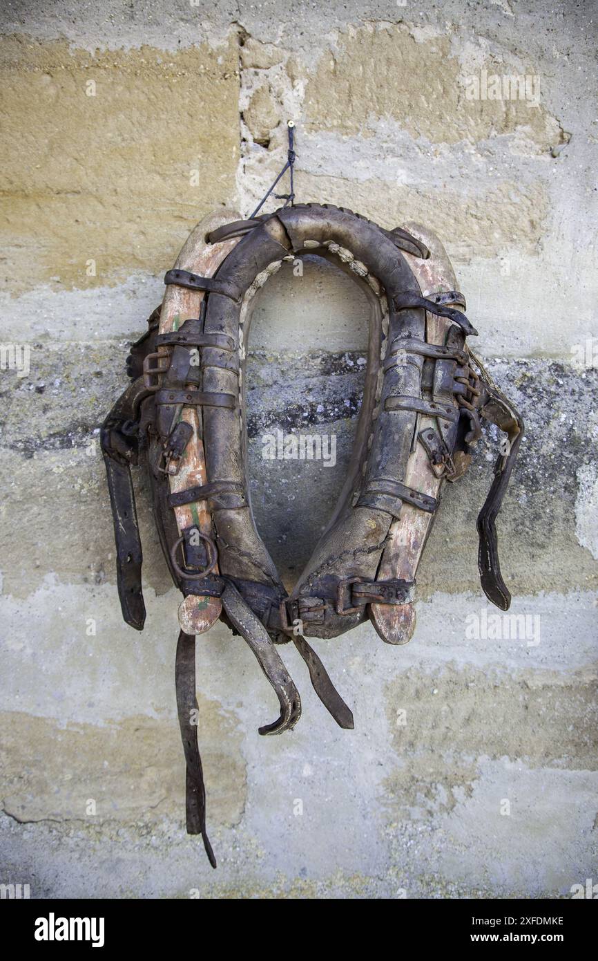 Detail of tool for driving and directing oxen, livestock Stock Photo ...