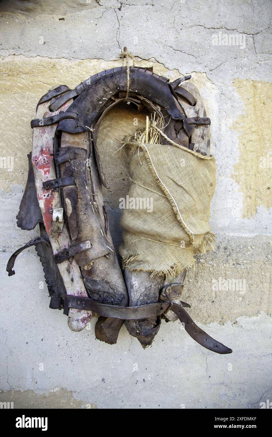 Detail of tool for driving and directing oxen, livestock Stock Photo ...