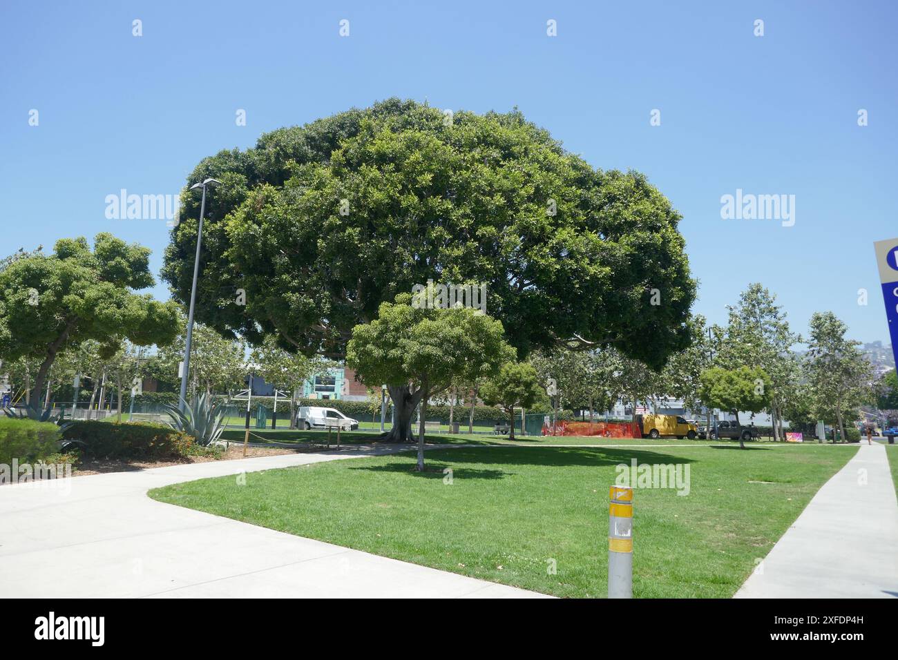 West Hollywood, California, USA 2nd July 2024 West Hollywood Park where ...