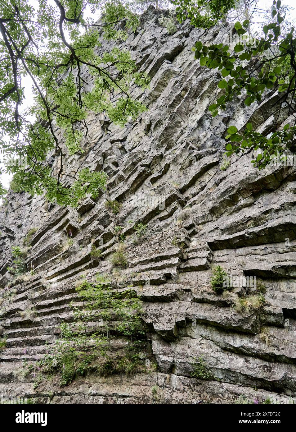 Close-Up of the Columns of a Horizontal Columnar Basalt in the Bohemian ...