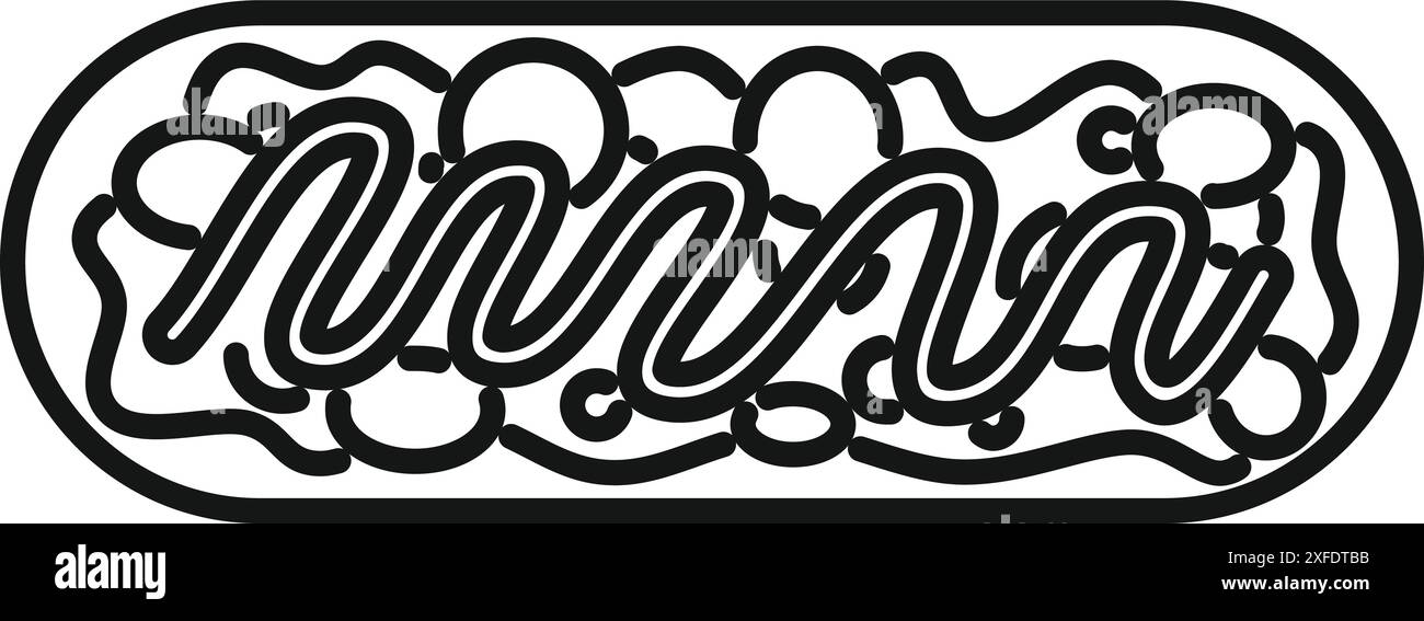 Escherichia coli bacteria showing nucleoid inside cell membrane, prokaryotic cell structure ...