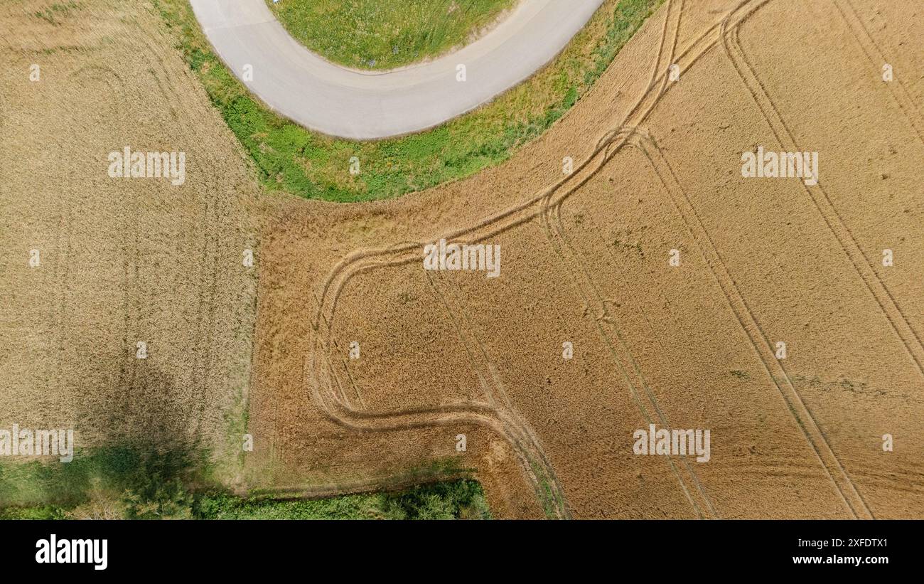 Crops, road and green grass visible from above. Vertical drone view of ...