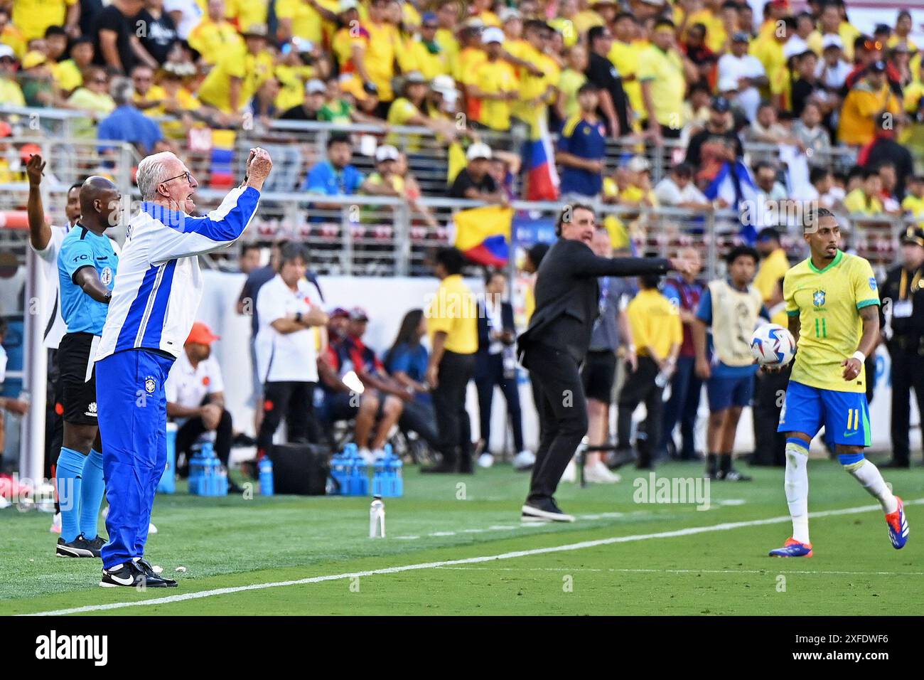 Brazil copa america dorival hi-res stock photography and images - Alamy