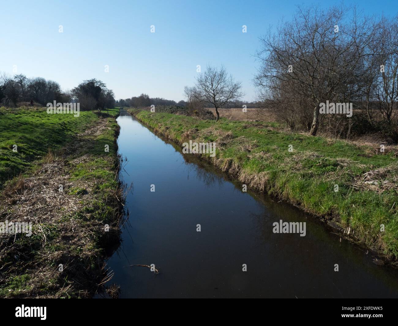 Water channel and wet grassland with path and trees, Ham Wall RSPB ...
