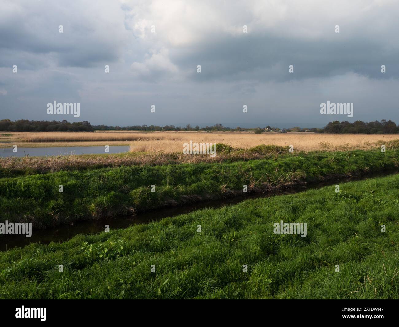 Water channel and reedbed with Avalon hide beyond, Ham Wall RSPB ...