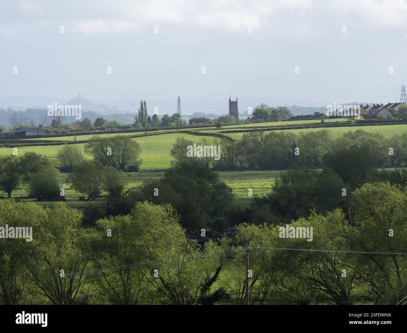 Farmland and willows on Southlake Moor with Othery Church and ...