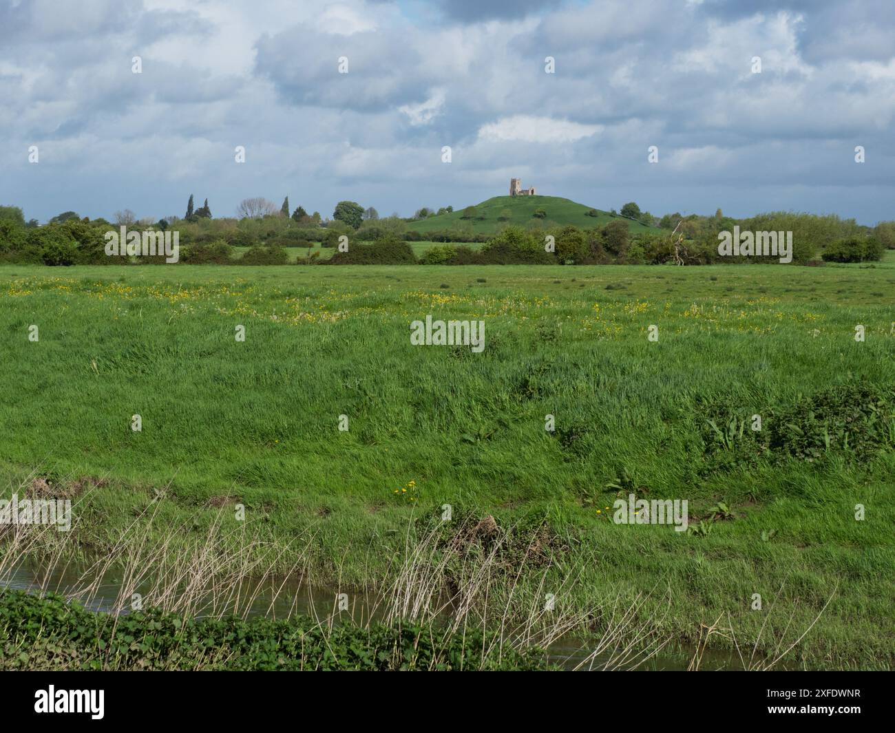 Water meadows and rhyne on Southlake Moor with Burrow Mump beyond ...