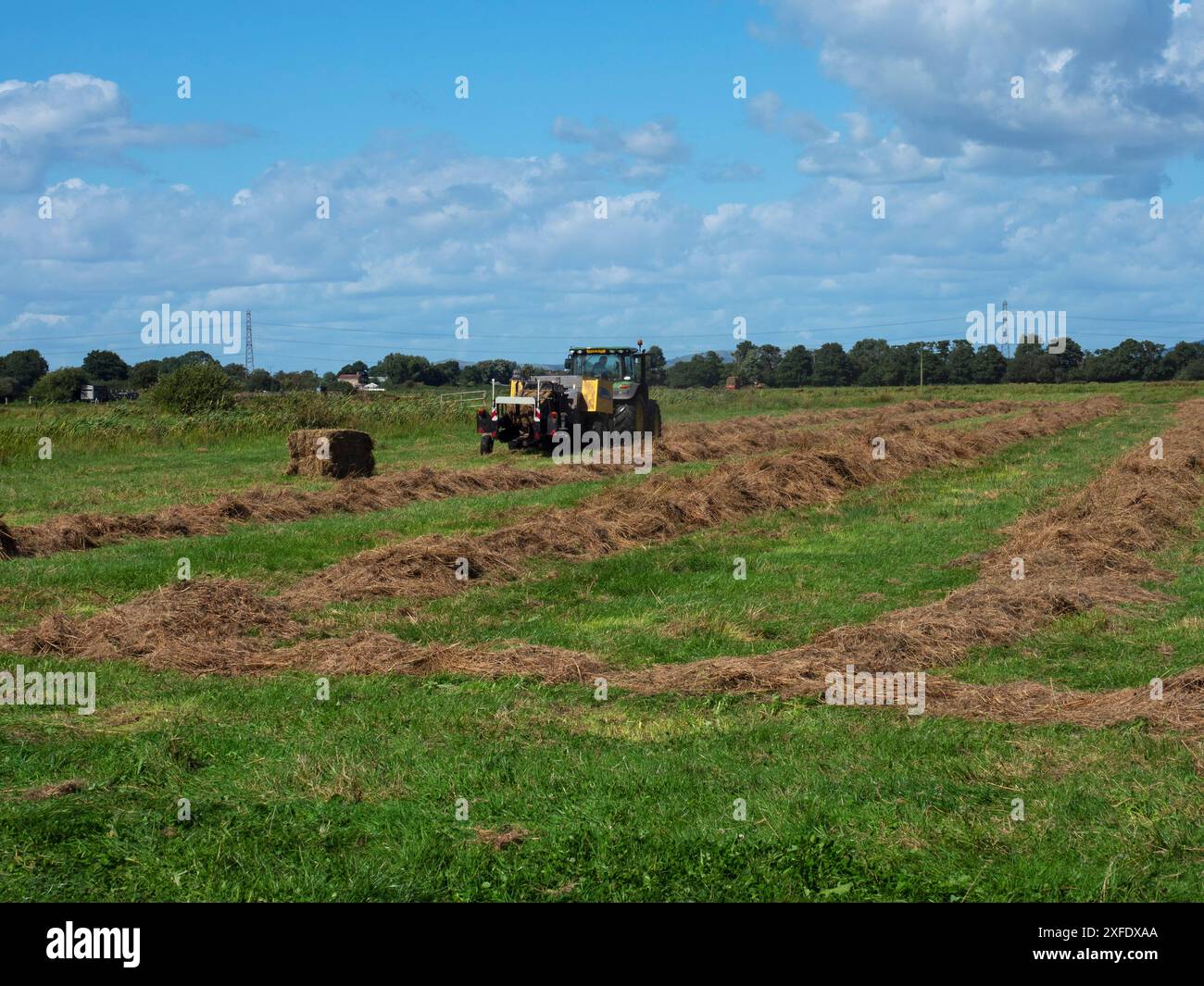 Farmer baling hay, Catcott Lows Nature Reserve, Somerset Levels and ...