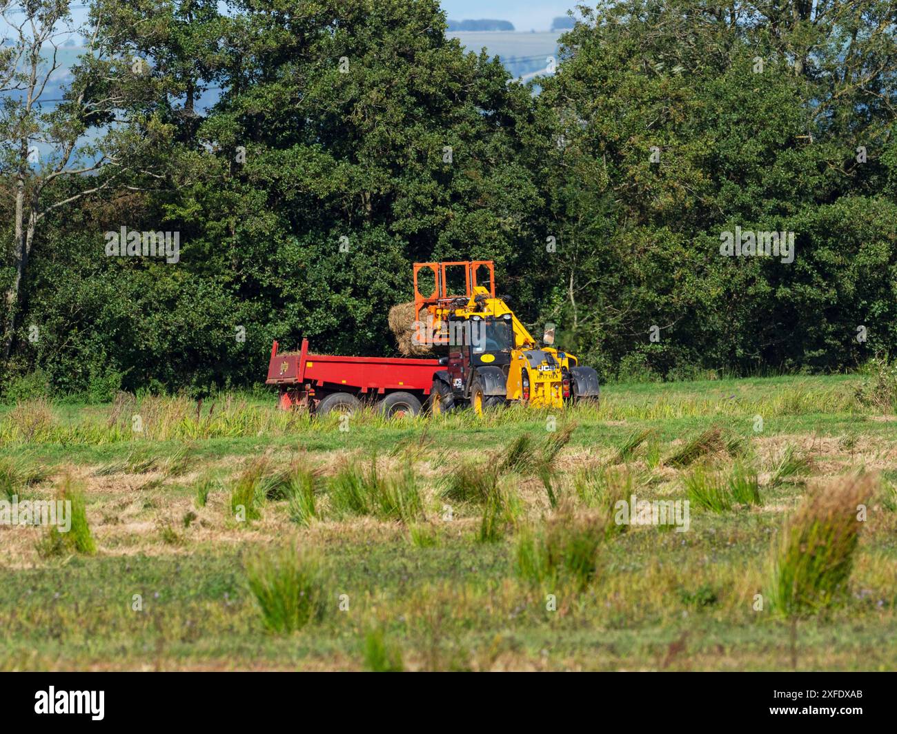 Farmer baling hay, Catcott Lows Nature Reserve, Somerset Levels and ...