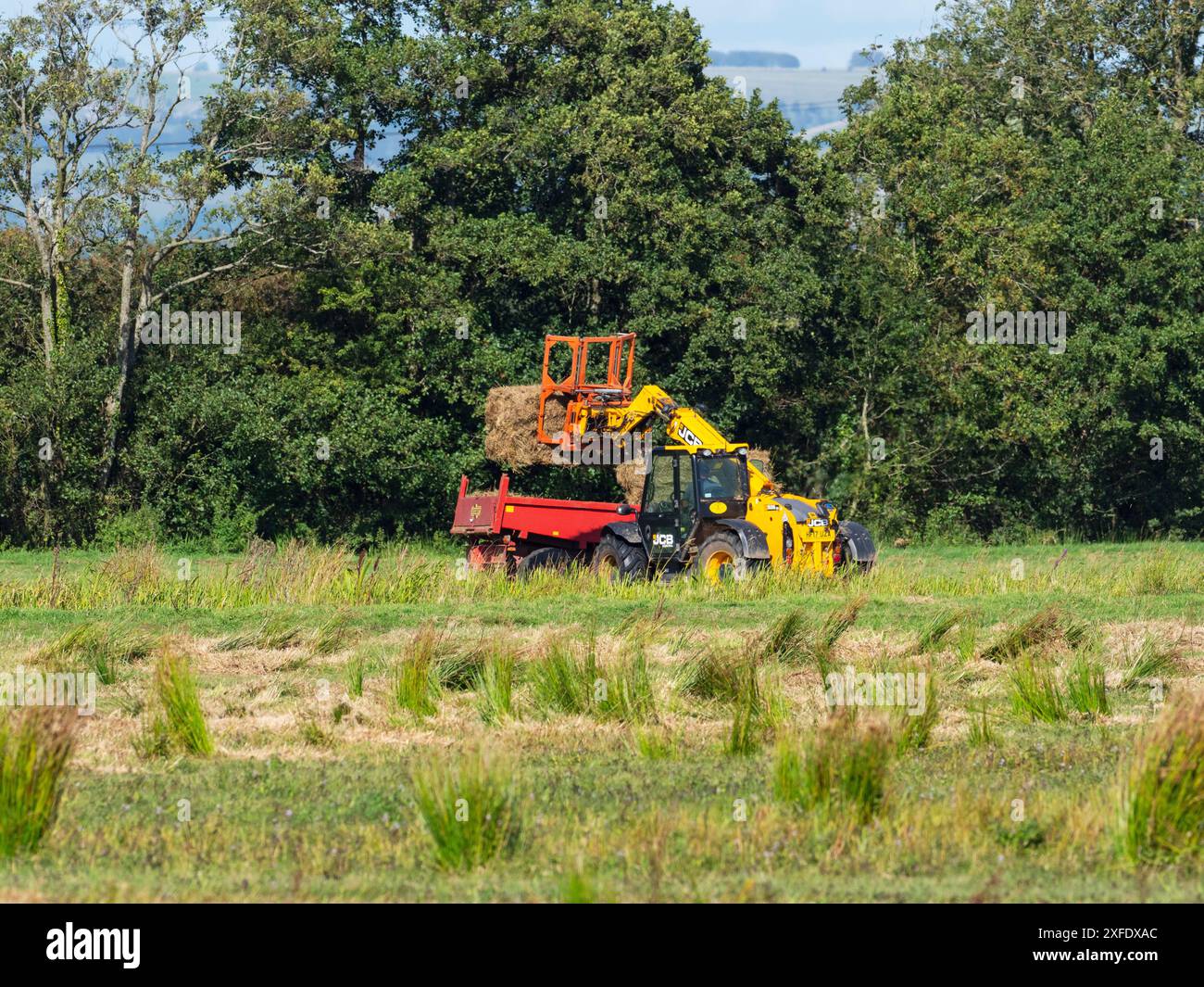 Farmer baling hay, Catcott Lows Nature Reserve, Somerset Levels and ...