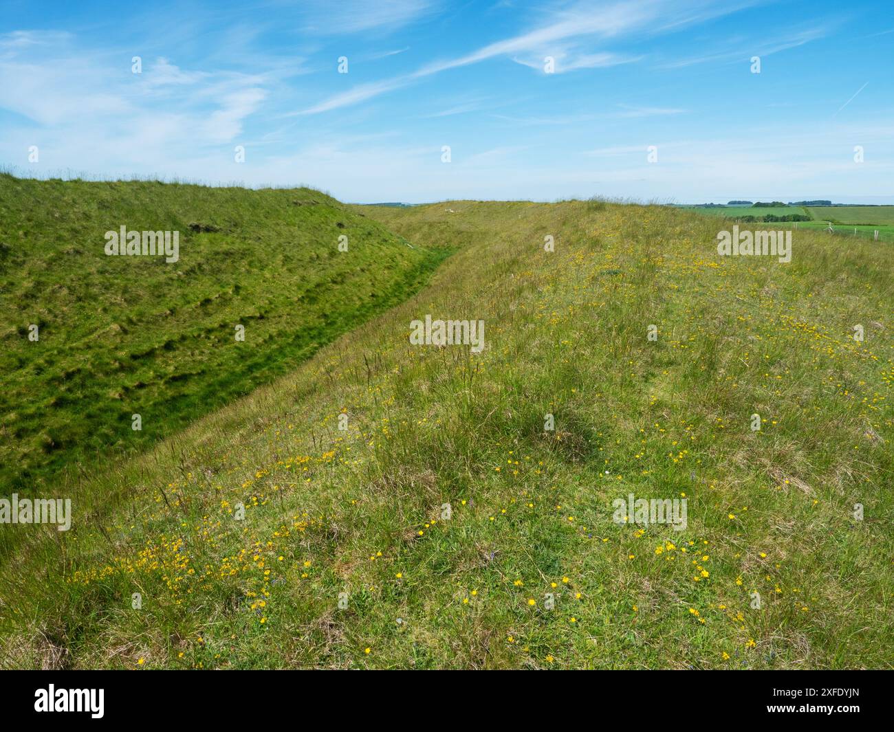 Part of the outer and inner ramparts of Yarnbury Castle iron age ...
