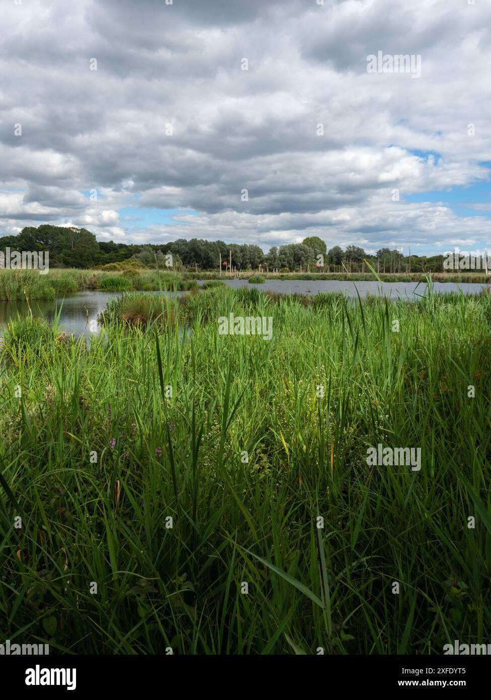 Romsey nature reserve hi-res stock photography and images - Alamy