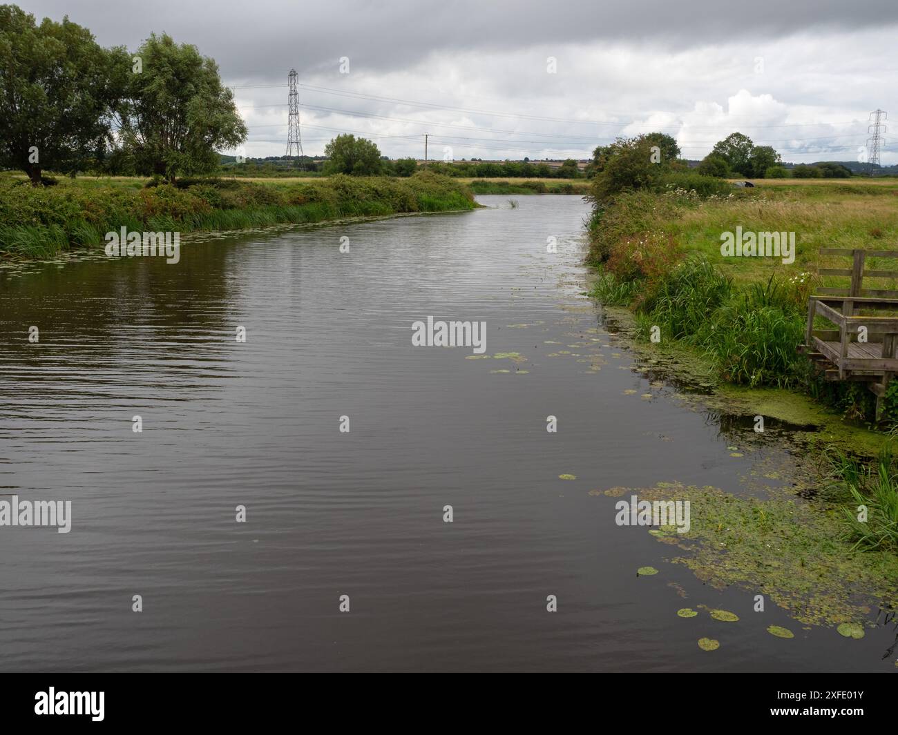 Cripps River looking toward South Drain, Gold Corner, Avalon Marshes ...