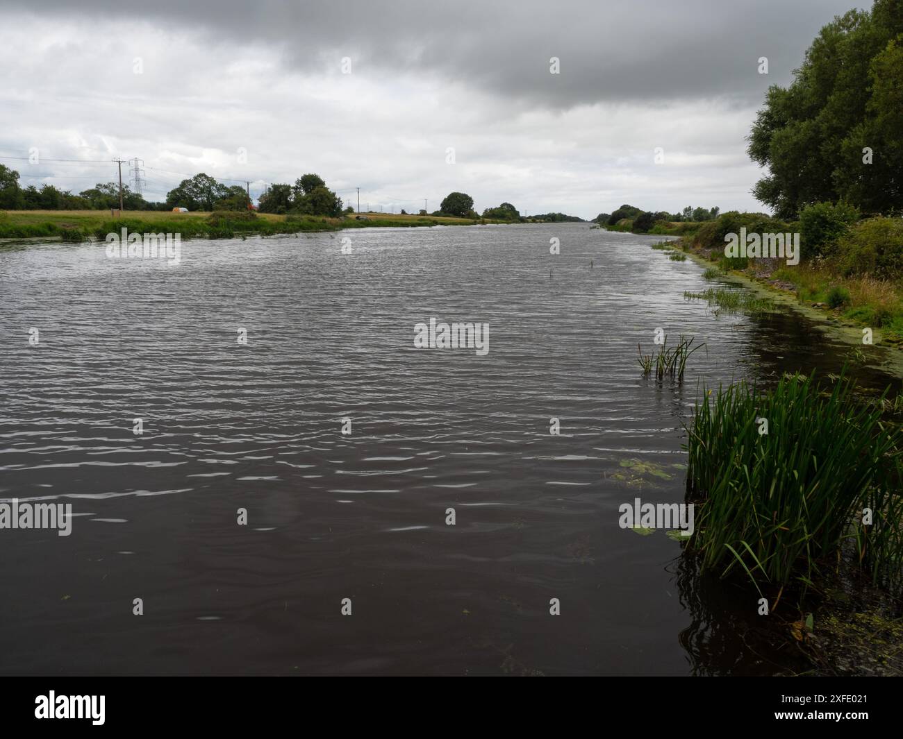 South Drain from near Gold Corner, Somerset Levels and Moors, Somerset ...