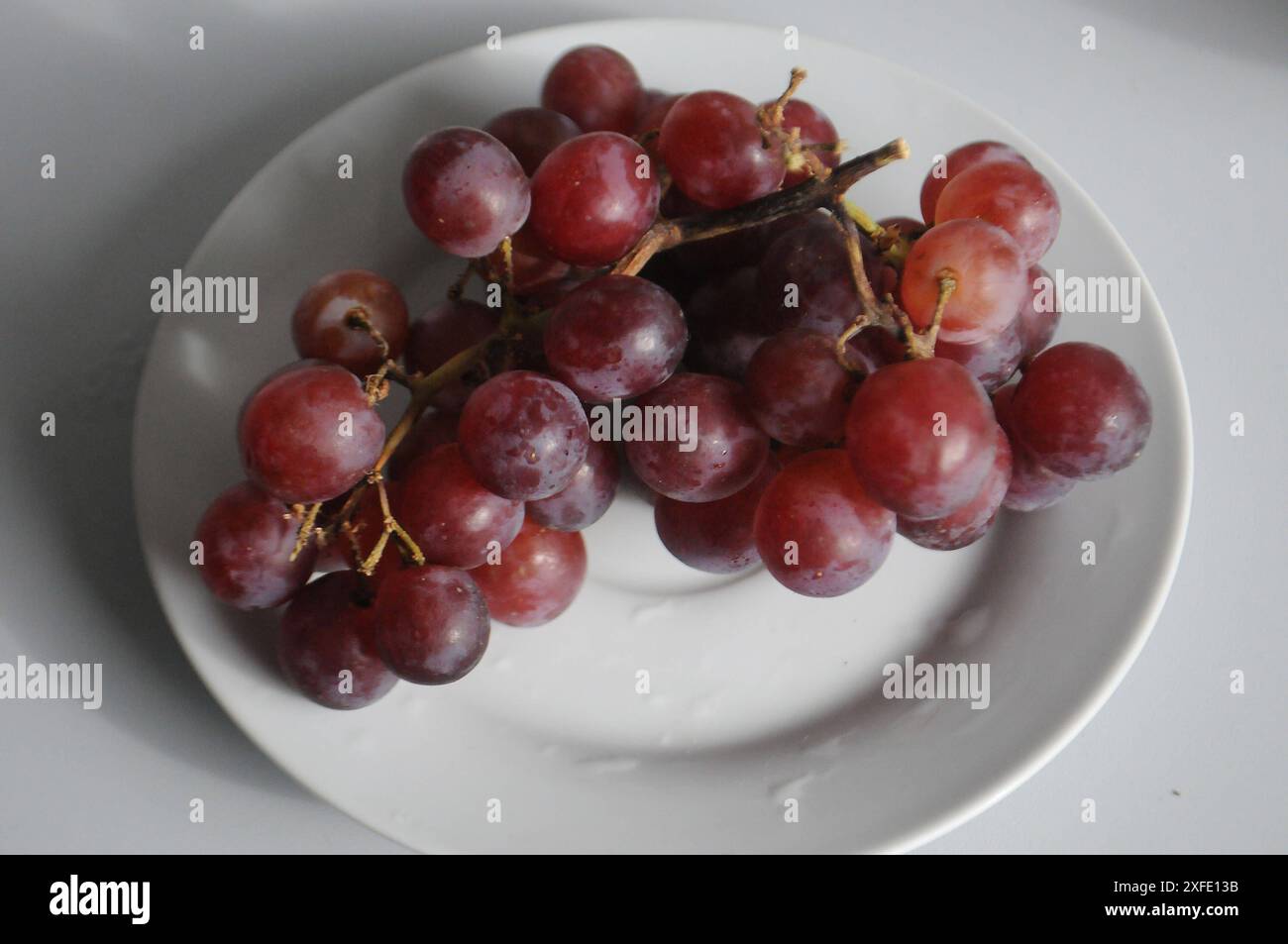 Copenhagen/ Denmark/03 July 2024/Grape fruit in danish capital Photo ...