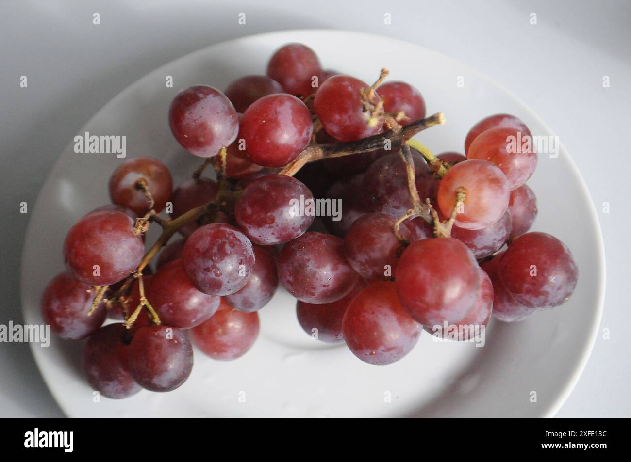 Copenhagen/ Denmark/03 July 2024/Grape fruit in danish capital Photo ...