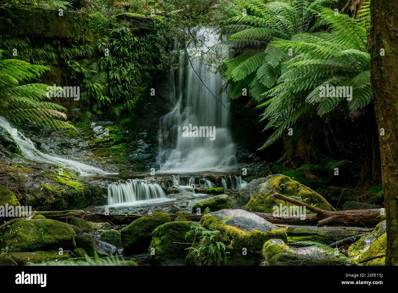 pure water flowing on the beautiful waterfall in Tasmania Stock Photo ...