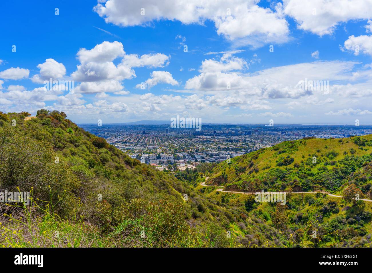 View of the Los Angeles skyline from the tranquil trails of Runyon ...