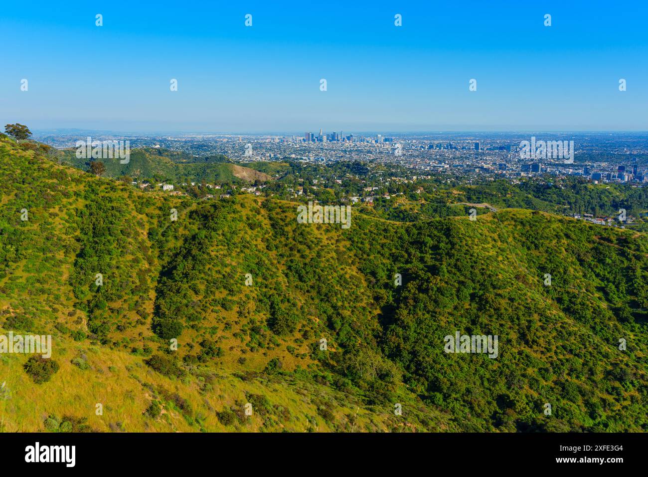Distant view of Los Angeles cityscape seen over green hills with hiking ...