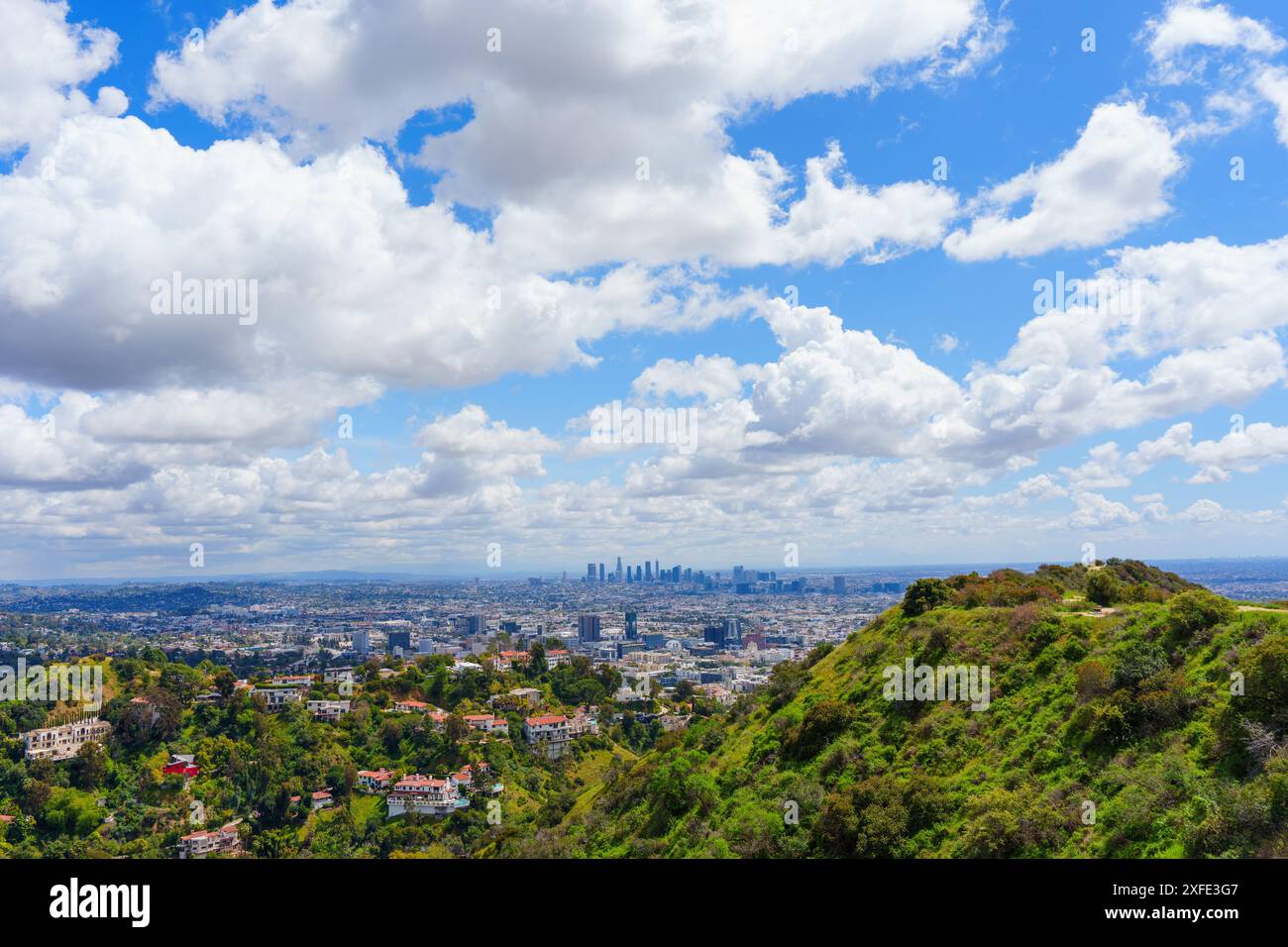 Charming view of private residences nestled in the greenery of Runyon ...