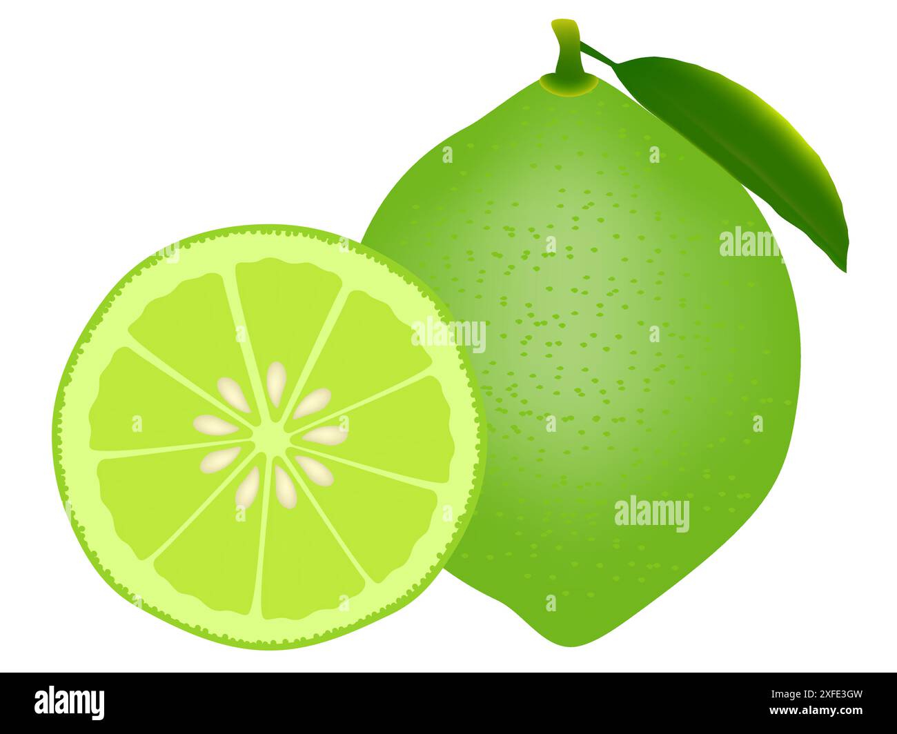 Lemon whole half lemon Stock Vector Images - Alamy