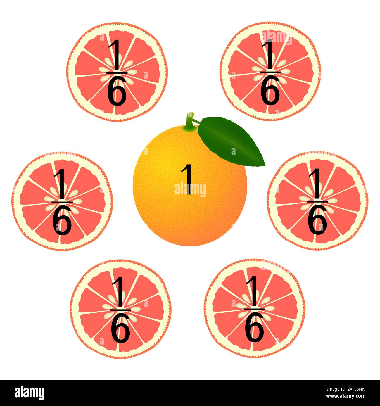 Fractions Fruit Finding Fractions Fraction Spotting