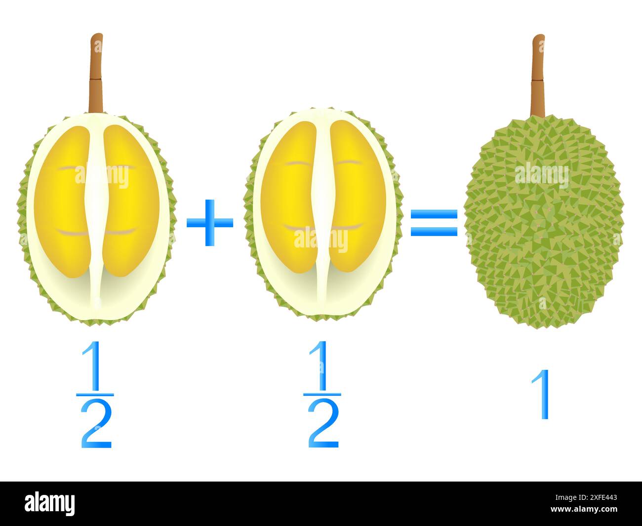 Action relationship of addition halves, examples with durian ...