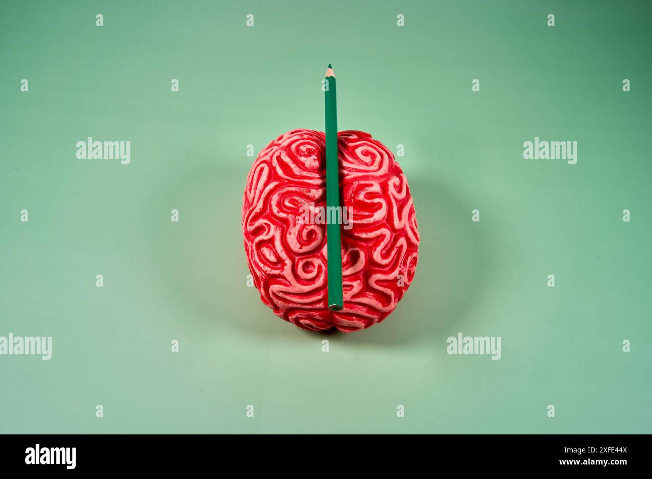 Pink rubber human brain with pencil placed on green surface Stock Photo ...